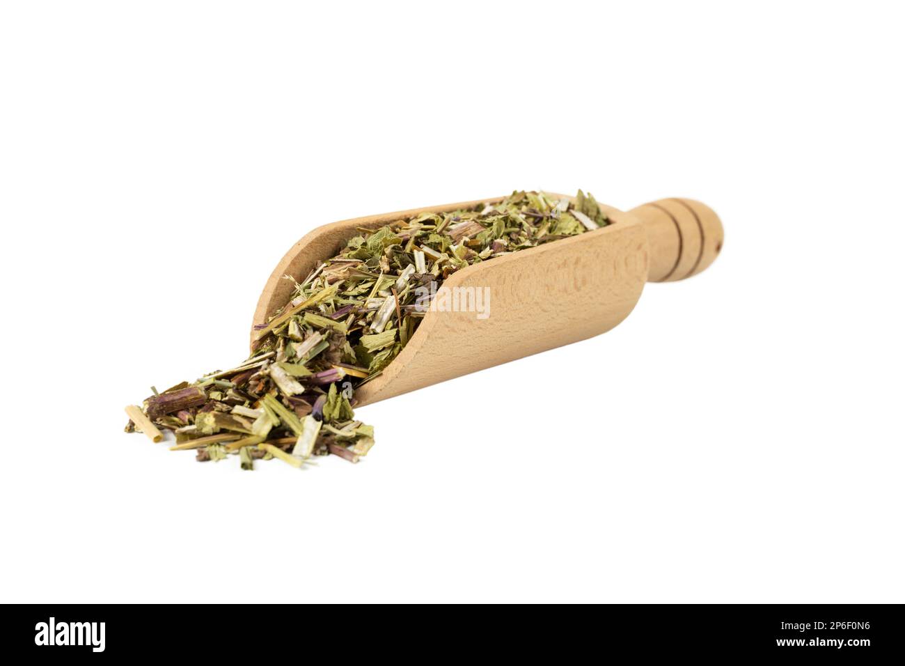 Catnip herb in latin - Nepeta cataria in wooden scoop isolated on white ...