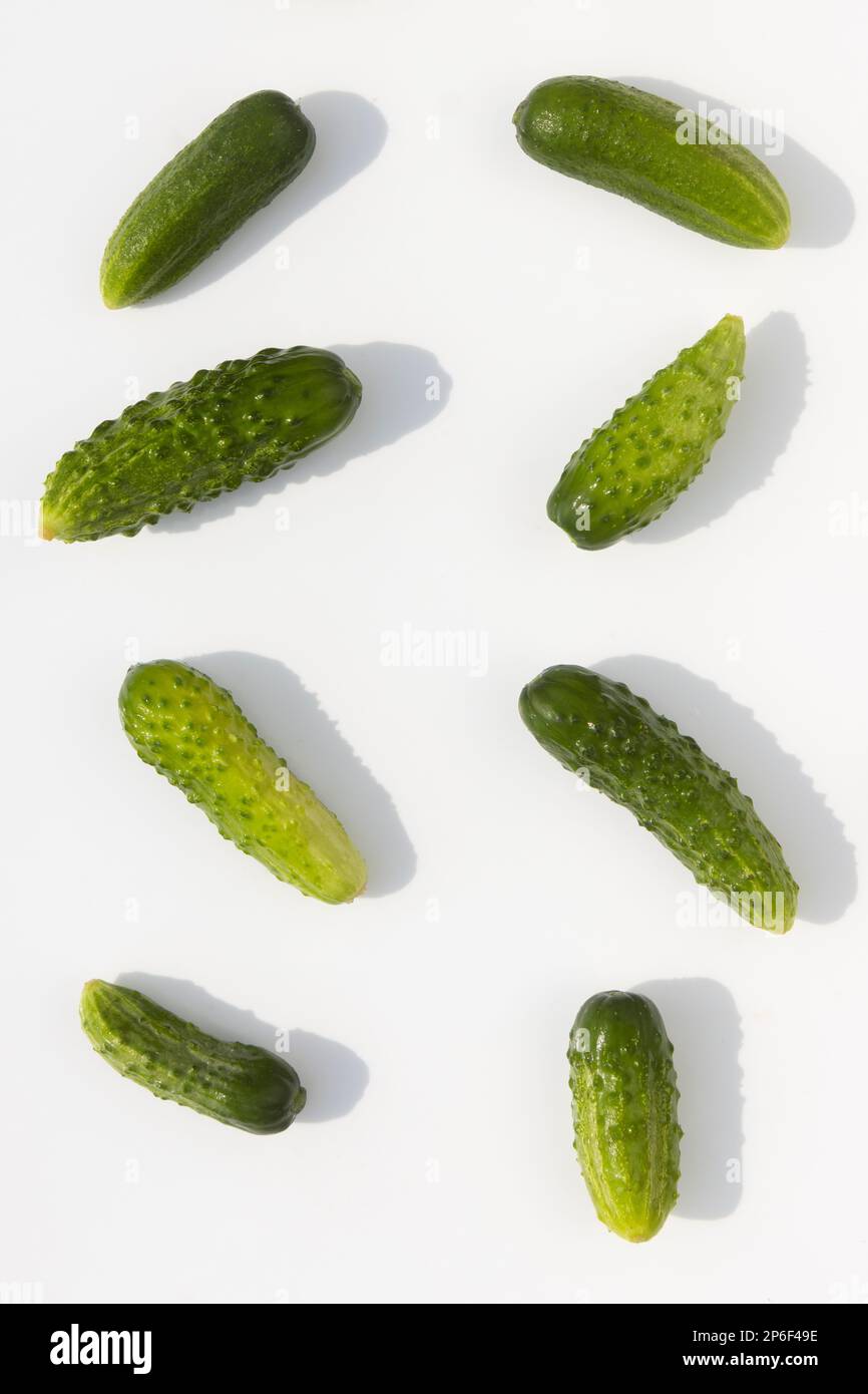 cucumbers, top view on a white background Stock Photo - Alamy
