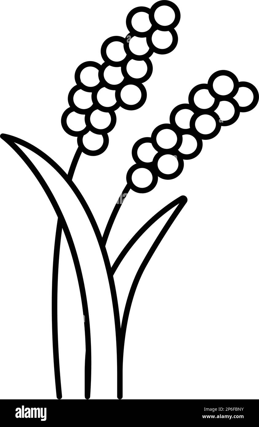 millet plant food line icon vector illustration Stock Vector Image ...
