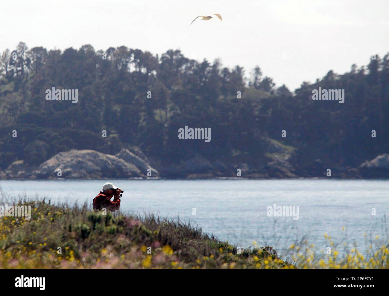 Stan Dryden of Carmel gets a closer look at a bird on Carmel River ...
