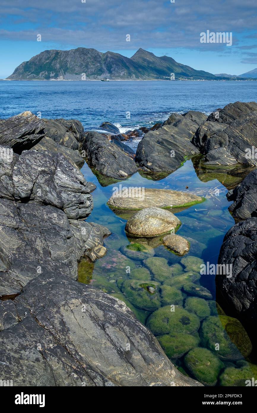 Tide pools filled with colorful marine organisms reflect the clear sky ...