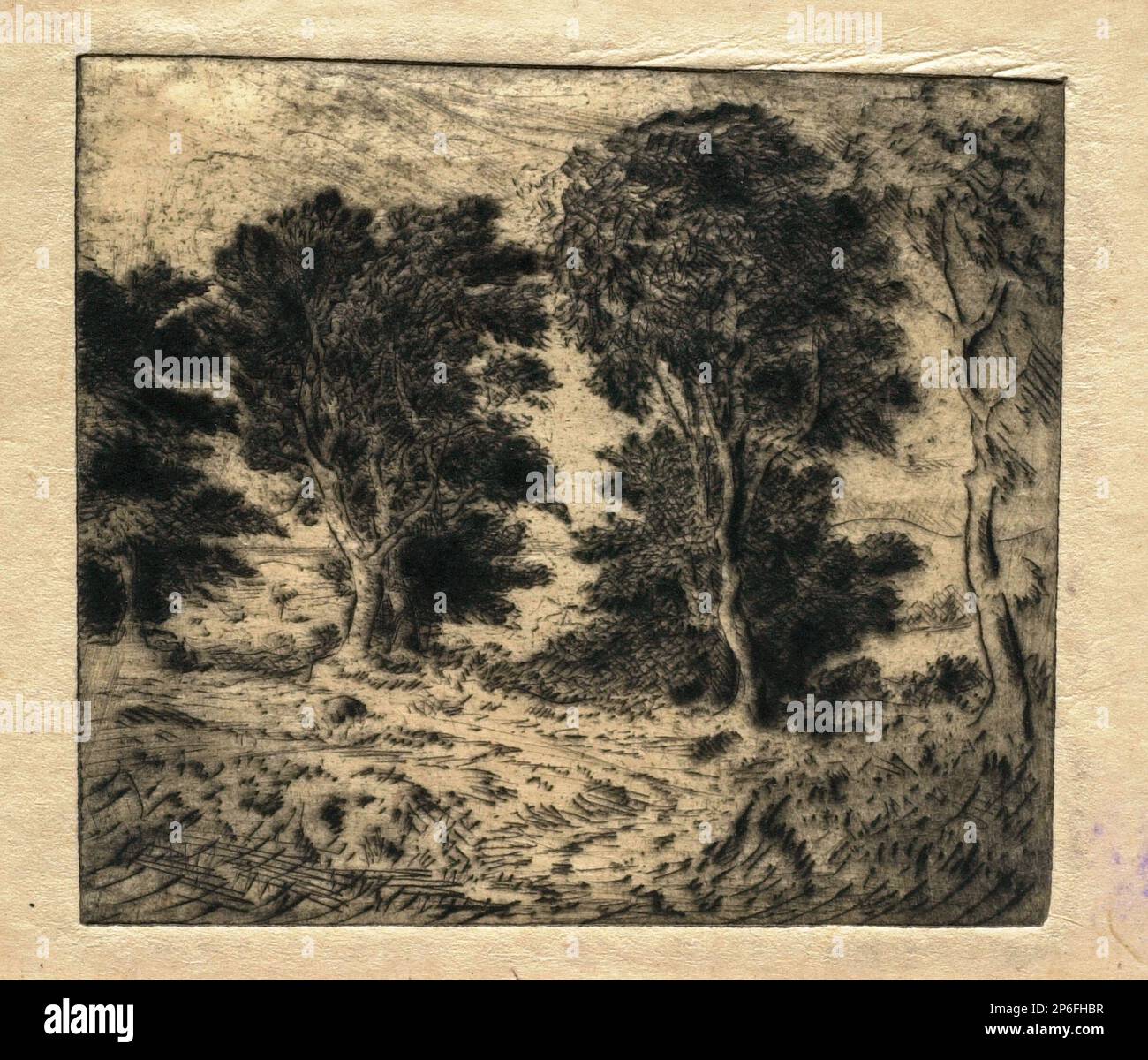 Paul Dougherty, A Row of Four Trees, 1887–1947, drypoint on paper Stock ...