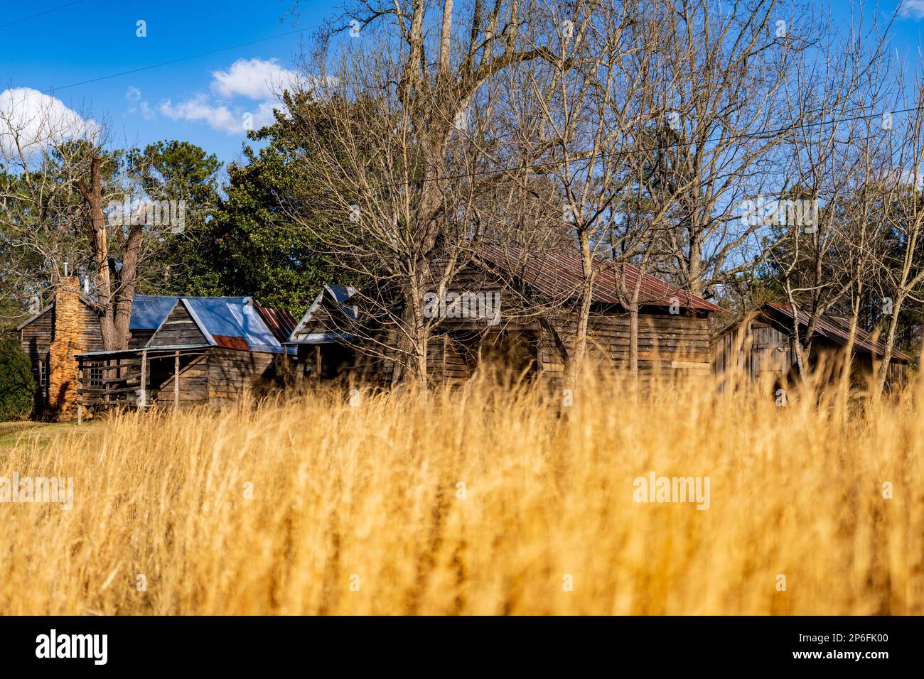 A small house is situated in a rural landscape, surrounded by a lush ...