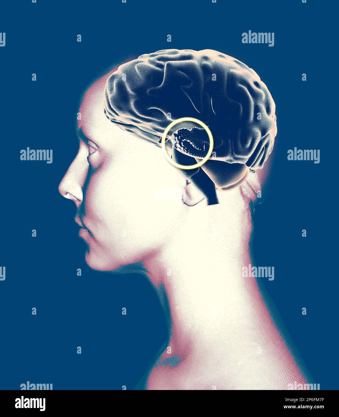 How The Brain Works Synapses And Neurons Connections Take Care Of