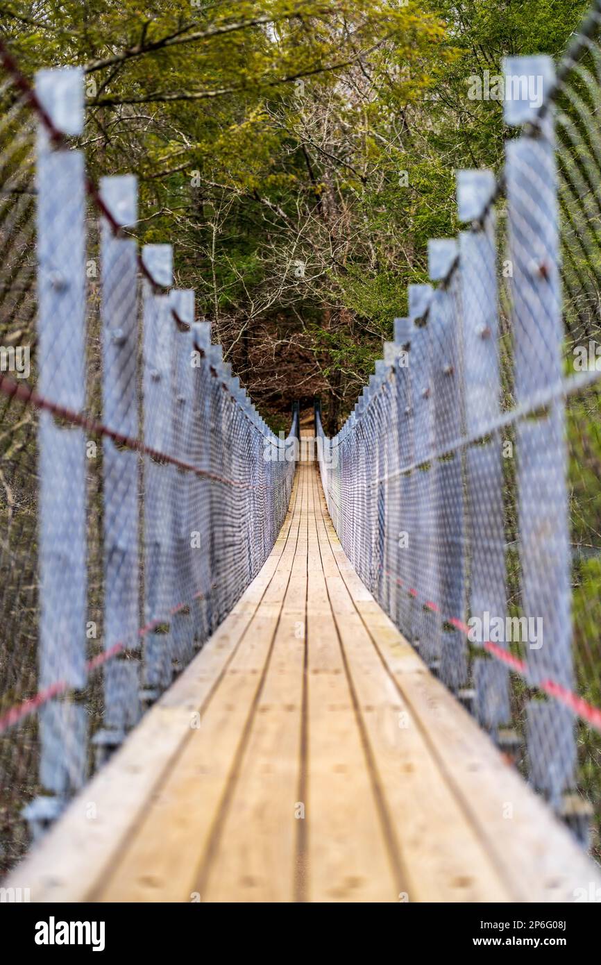A narrow wooden bridge extending over a body of water, supported by ...