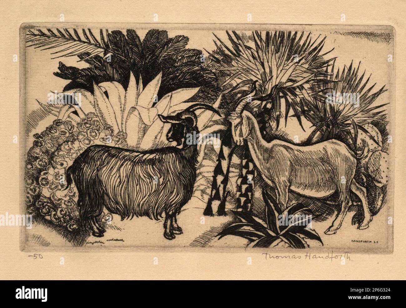 Thomas Handforth, Two Sicilian Goats, 1907–1948, etching on paper Stock ...