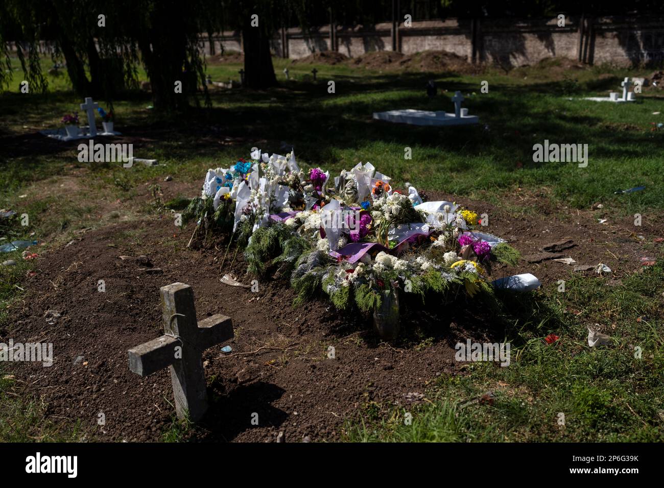 Flowers lay the grave of Máximo Jerez, an 11-year-old killed early ...