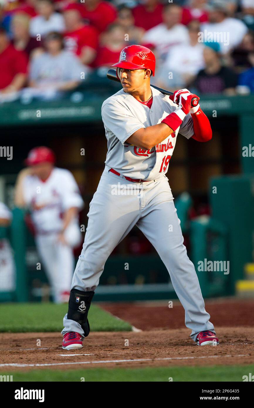 Jon Jay (19) of the St. Louis Cardinals at bat during a game against ...