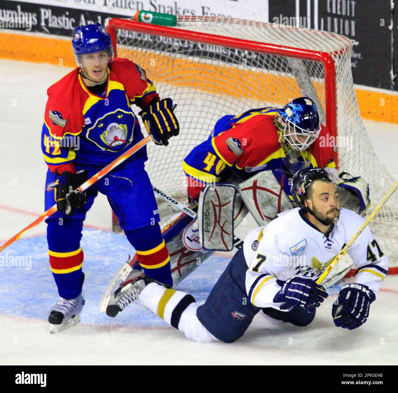 Pensacola Ice Flyers center Dan Bucella is knocked out of the crease by ...
