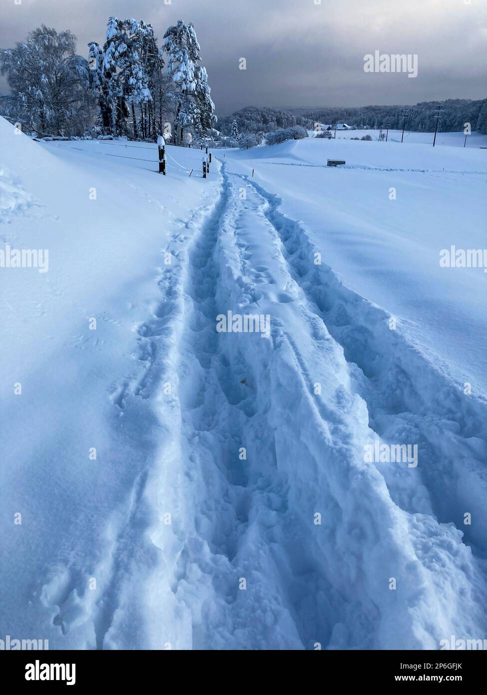 Snow path deep is leading to the forest in the distance. Foot tracks ...