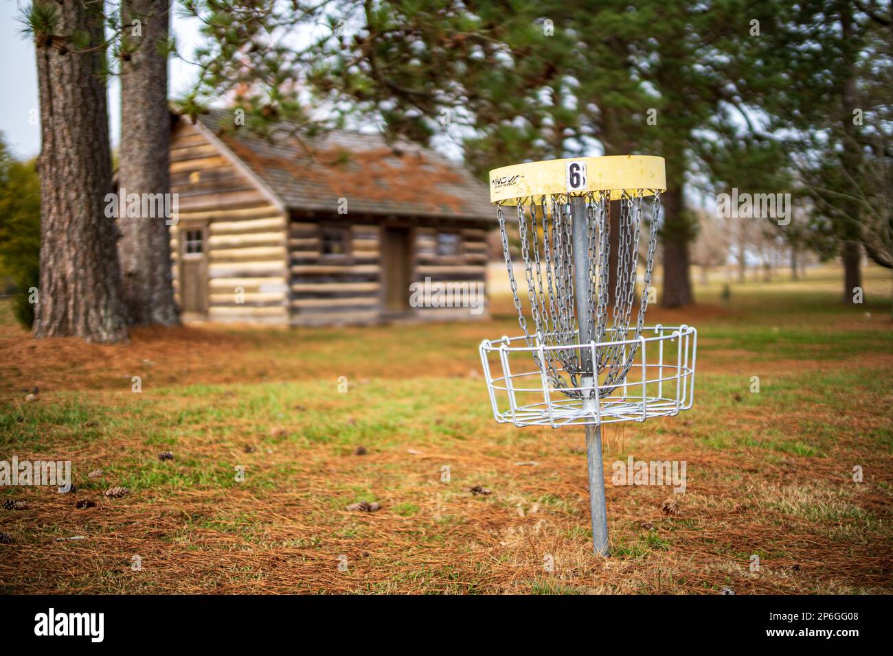 A disk golf in a lush green field with a rural scenery in the ...