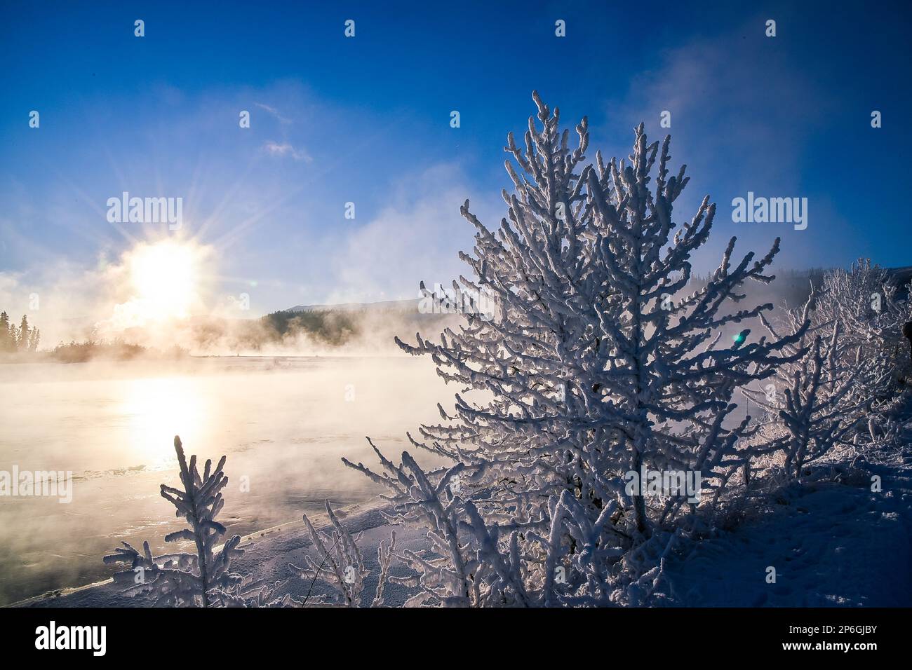 Incredible frozen Yukon River views in deep winter from Whitehorse with ...