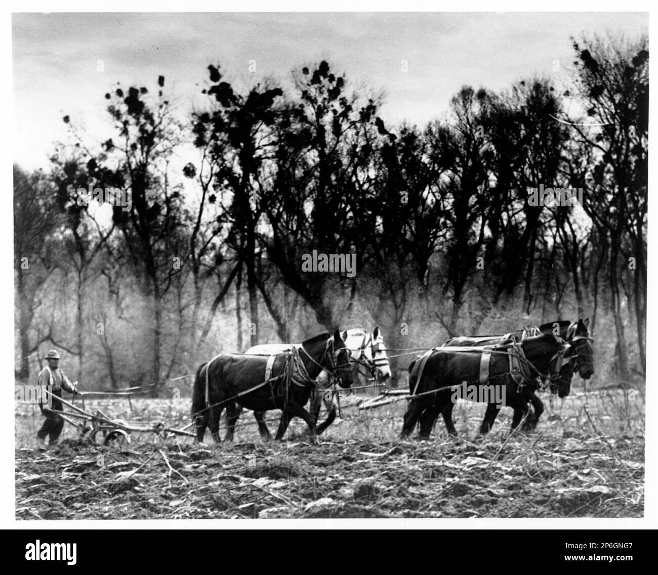 1930s farming Cut Out Stock Images & Pictures - Alamy