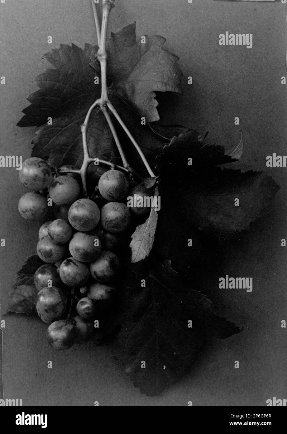 Richard tepe hi-res stock photography and images - Alamy