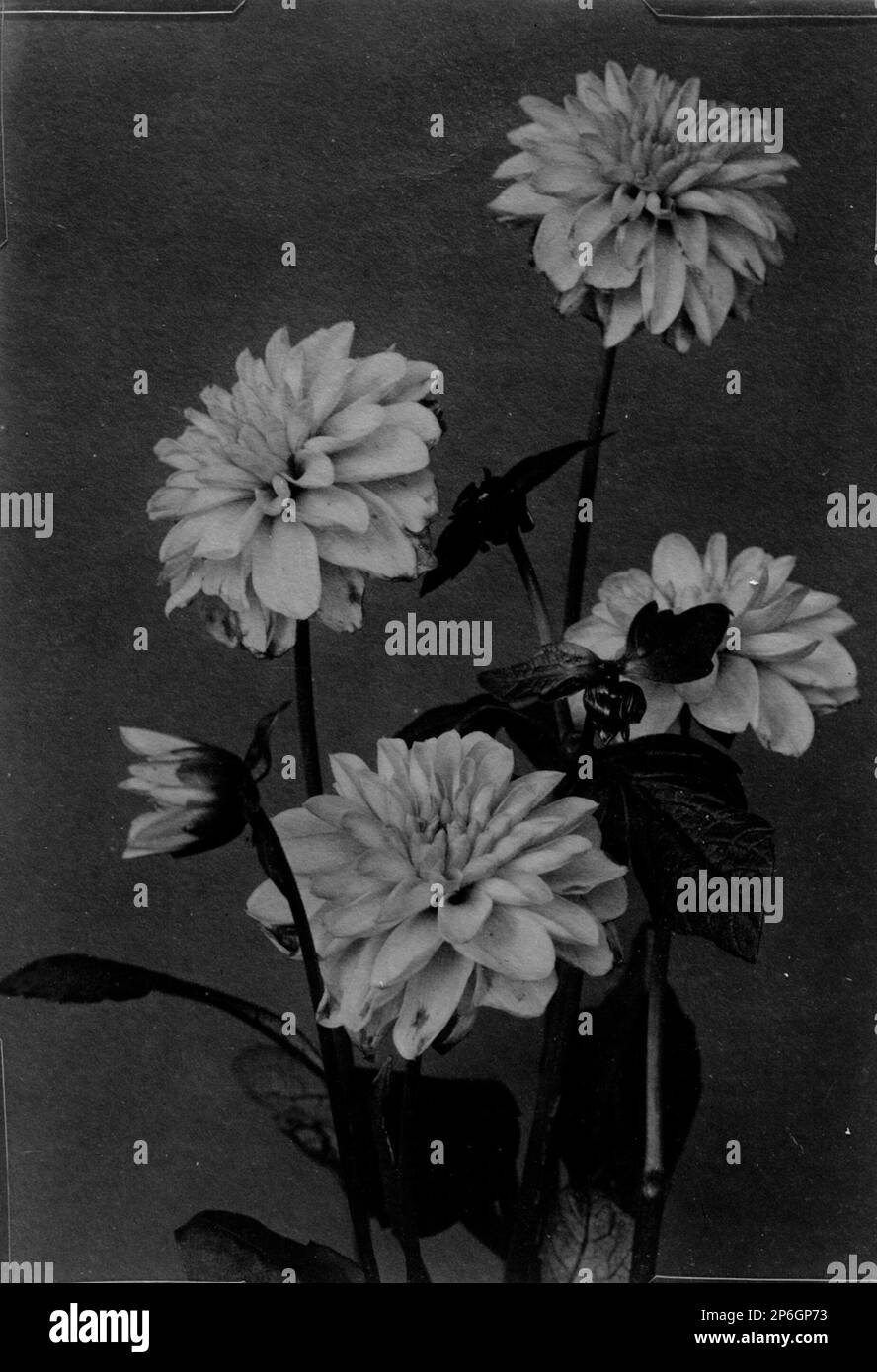 Richard tepe hi-res stock photography and images - Alamy