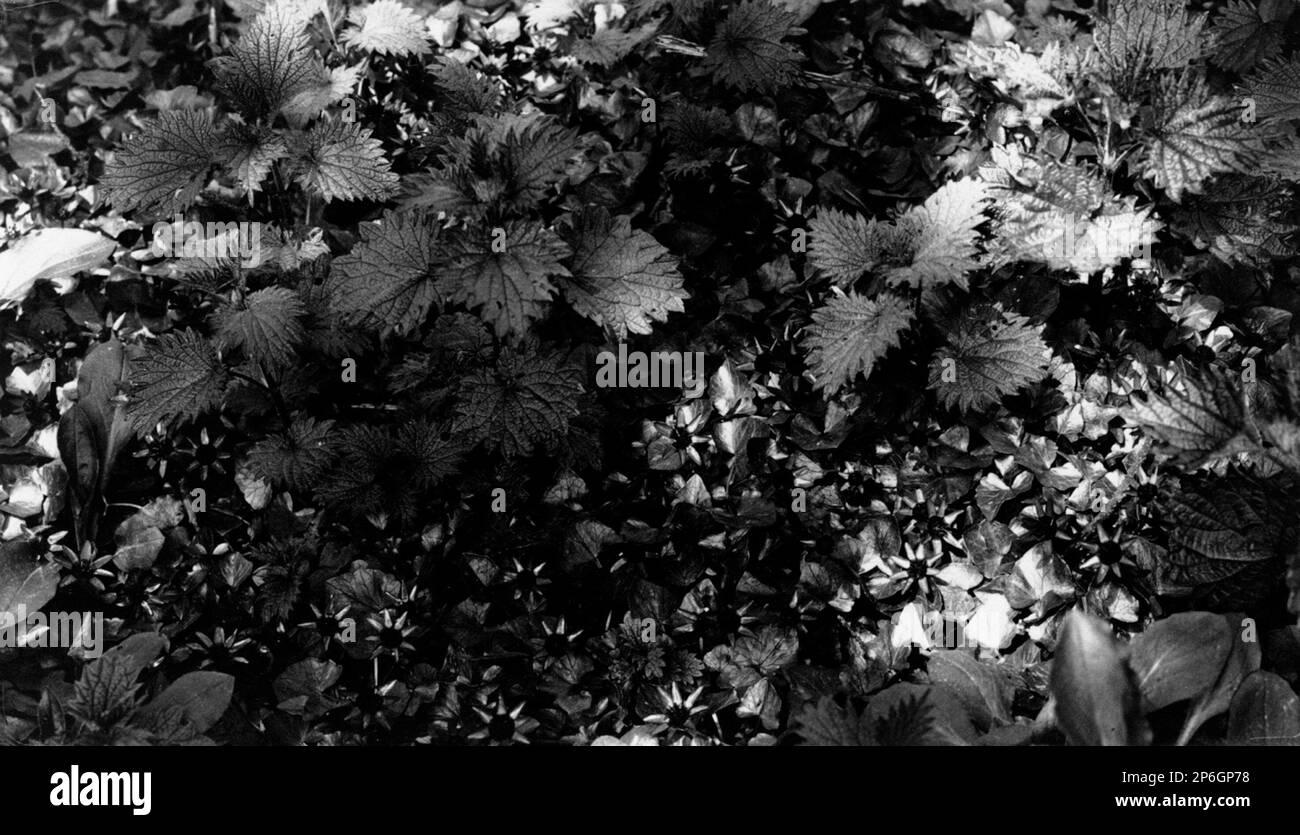 Richard tepe hi-res stock photography and images - Alamy