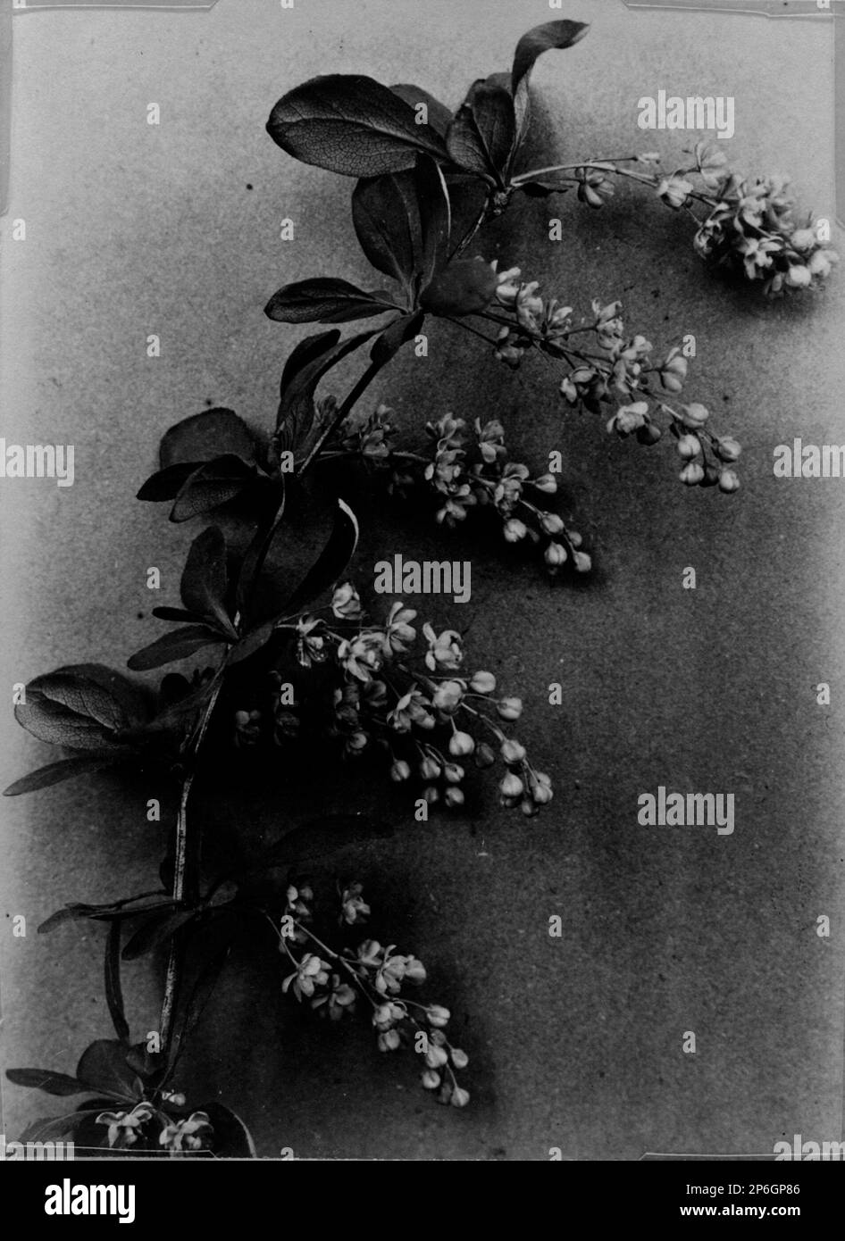 Richard tepe hi-res stock photography and images - Alamy