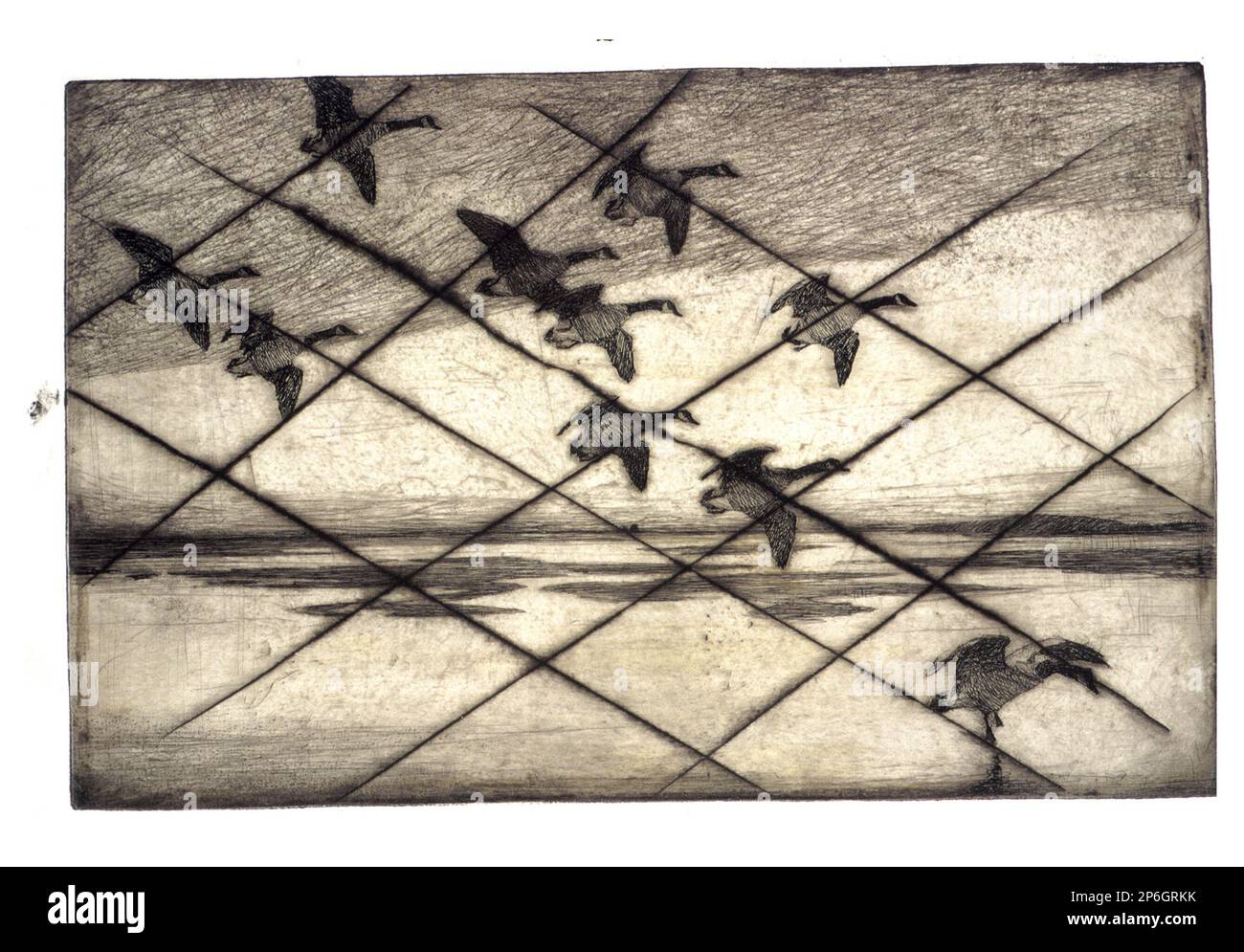 Frank Weston Benson, Geese Drifting Down, 1929, copper plate with ...
