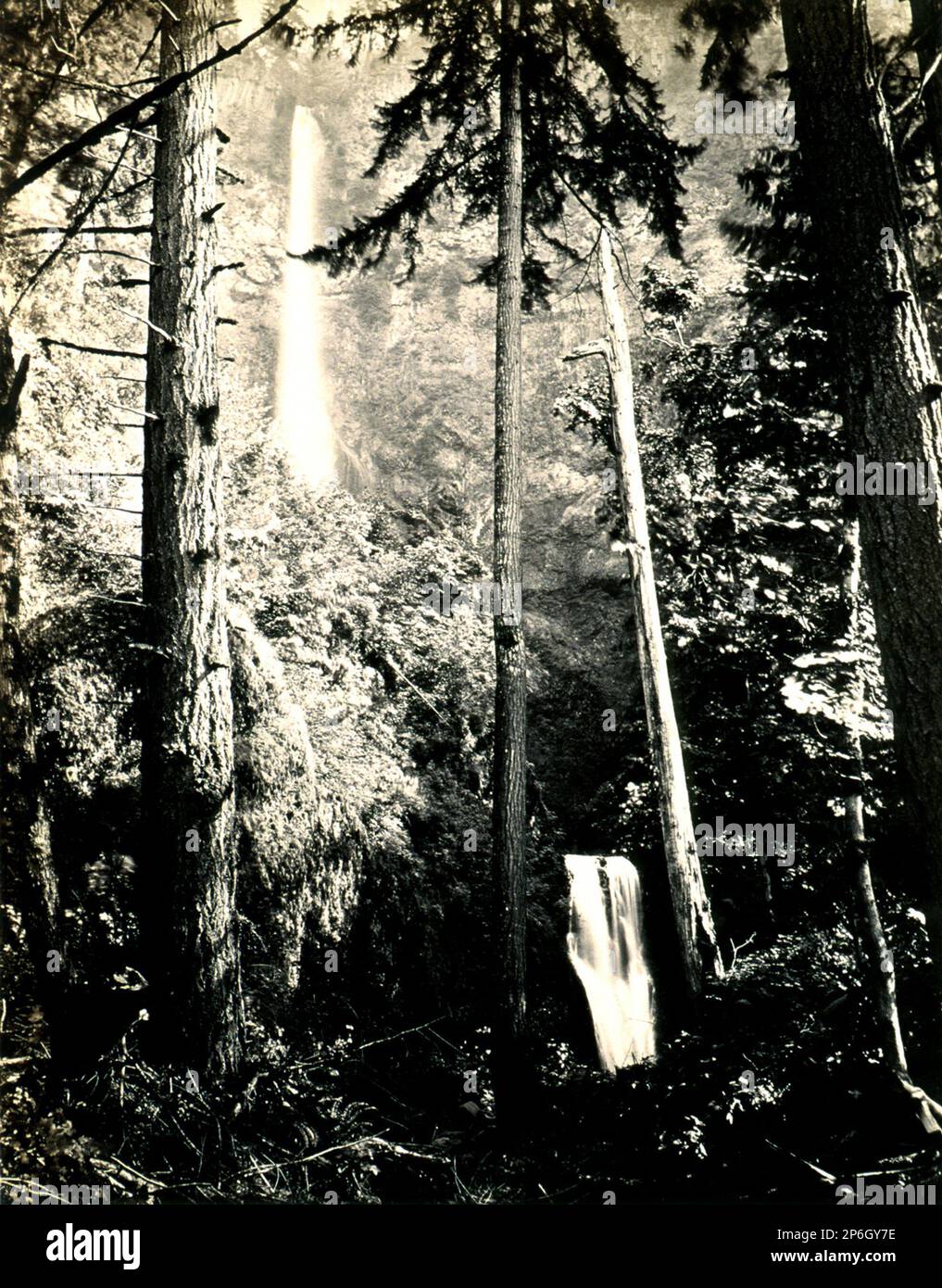 Carleton E. Watkins, Multnomah Falls Cascades, Columbia River, 1867 ...