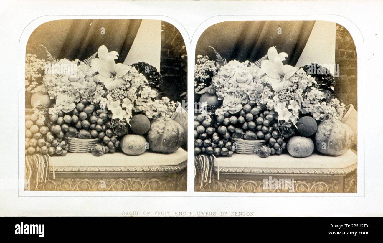 Roger Fenton, Group of Fruit and Flowers, c. 1860, albumen print ...