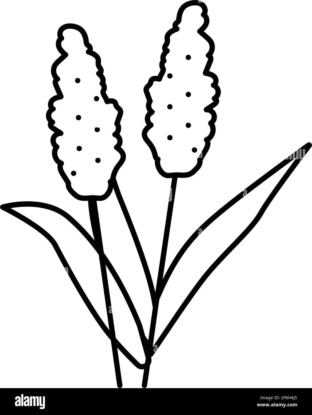 sorghum plant food line icon vector illustration Stock Vector Image ...