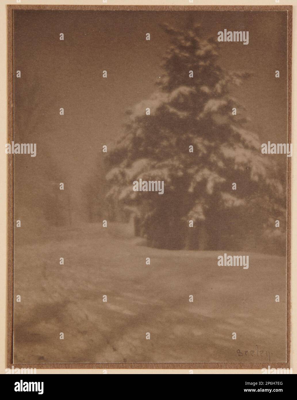 George Henry Seeley, The Path, c. 1917, platinum print Stock Photo - Alamy