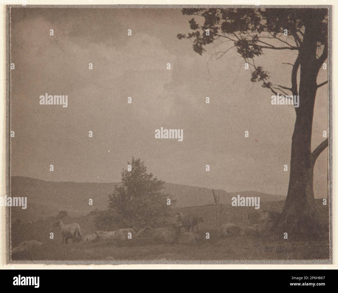 George Henry Seeley, Landscape with Sheep, c. 1917, platinum print ...