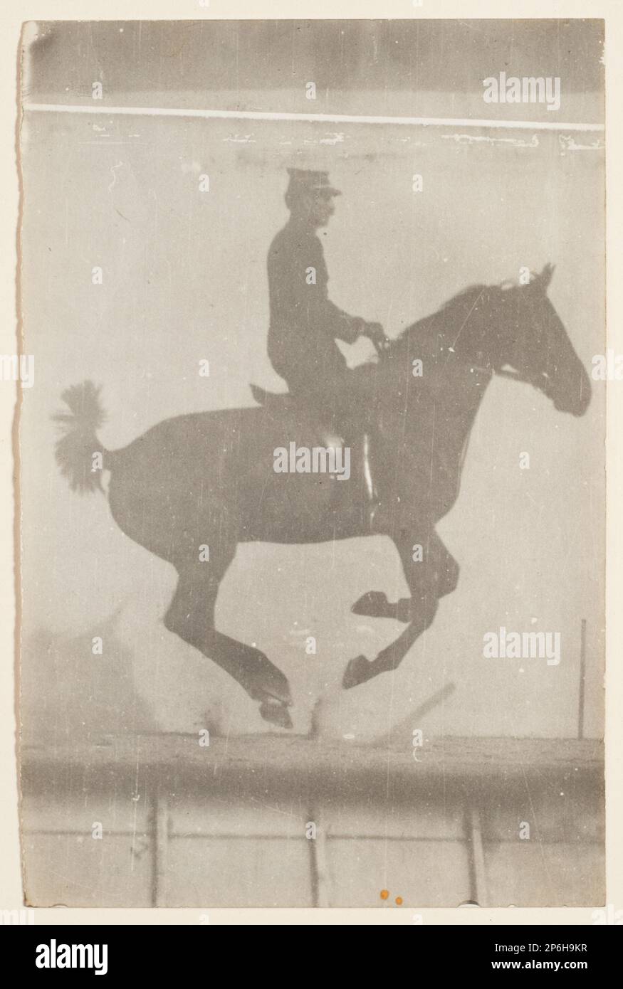 Jules Etienne Marey, Horse and Rider (Cavalier et Cheval) #2, c.1888 ...