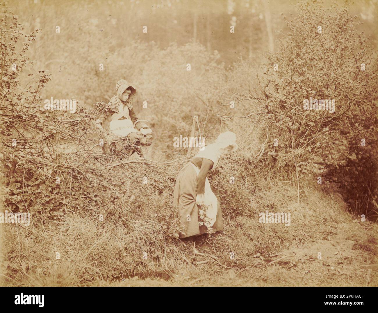 Henry Peach Robinson, Over Hedge and Ditch, May 26, 1881, albumen print ...