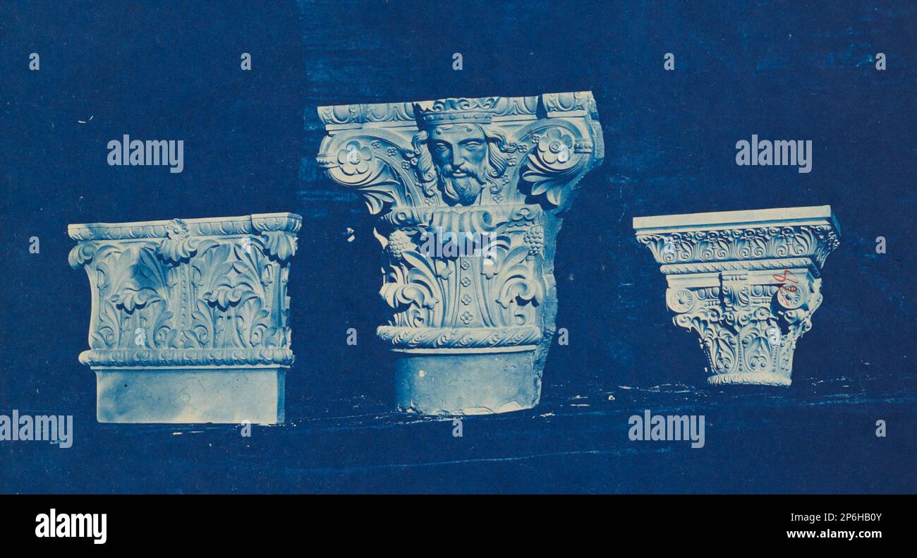Adolphe Terris, Detail of Sample Stone Column Heads with Organic ...