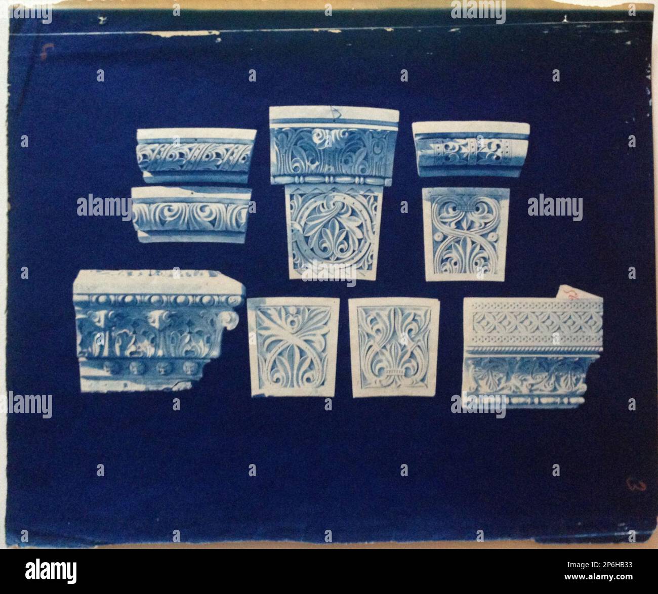 Adolphe Terris, Details of Ornamental Samples with Organic Patterns, c ...