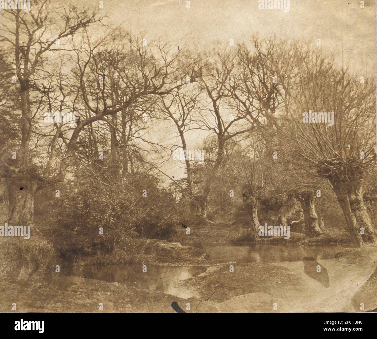 Circle of Roger Fenton, Landscape, from the "Gray Albums", c. 1855 ...