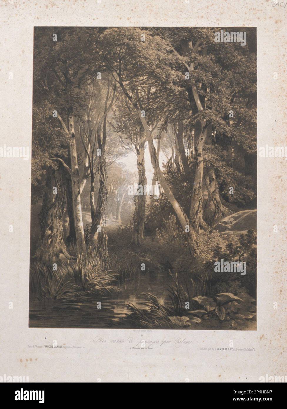 Calame hi-res stock photography and images - Alamy