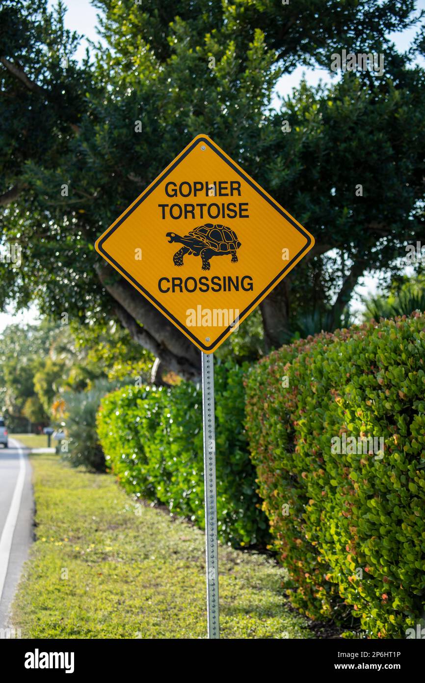 Florida. Gopher Tortoise crossing sign on Sanibel Island Stock Photo ...