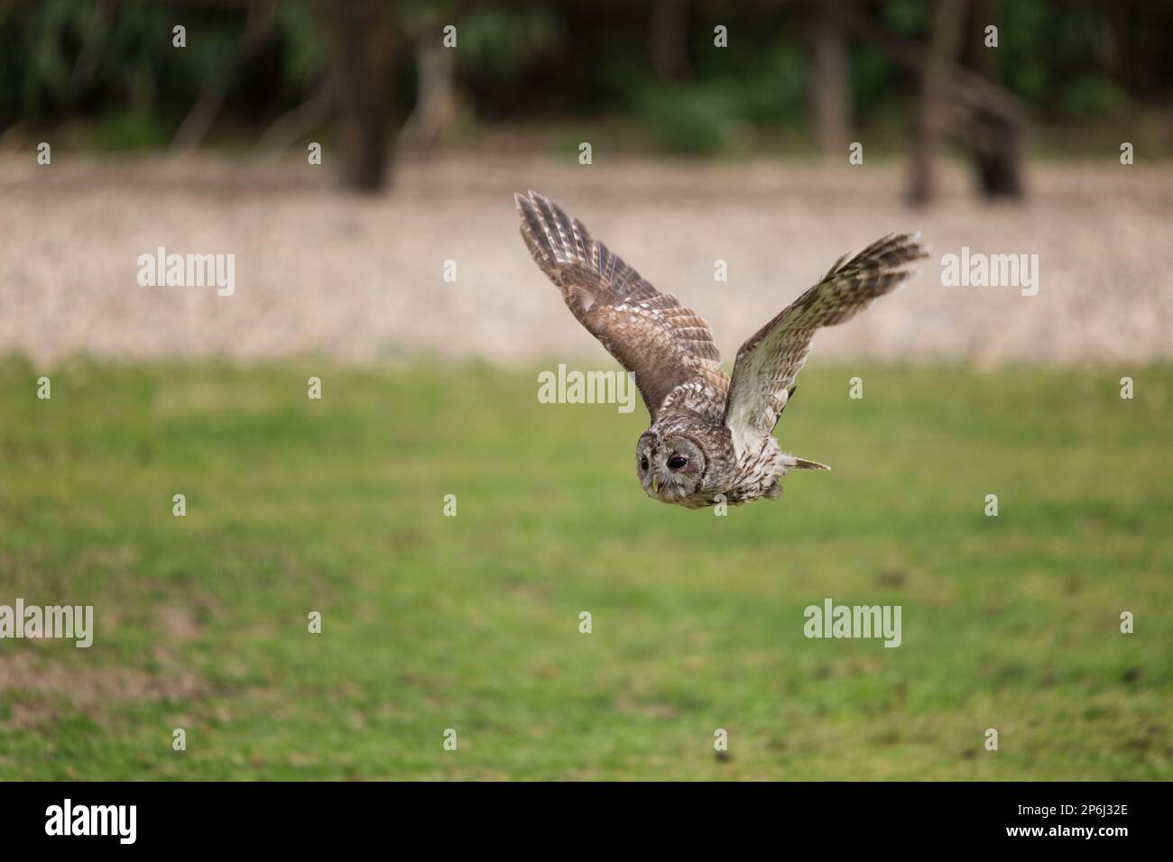Outdoor common area hi-res stock photography and images - Alamy