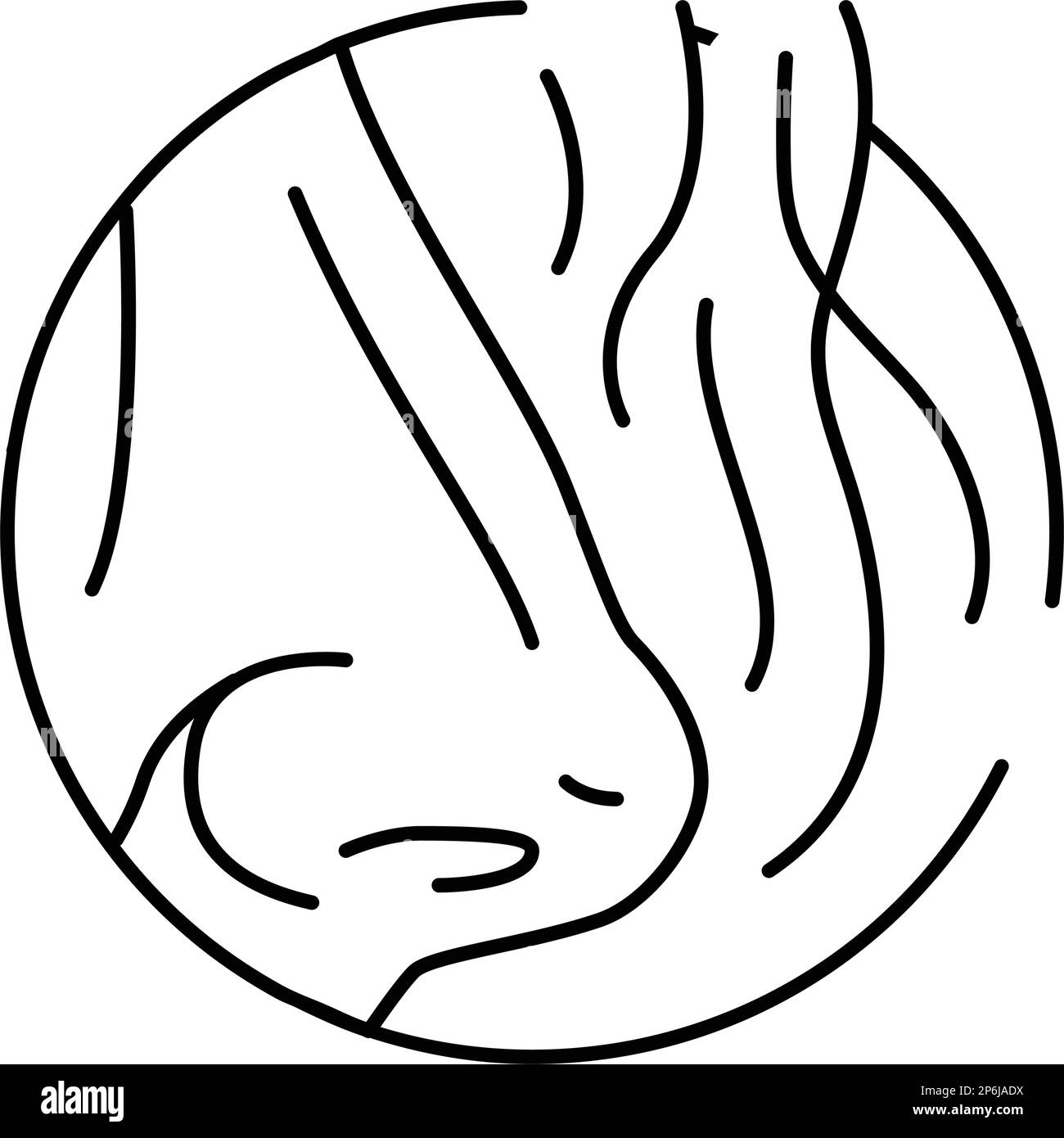 nose smell line icon vector illustration Stock Vector Image & Art - Alamy