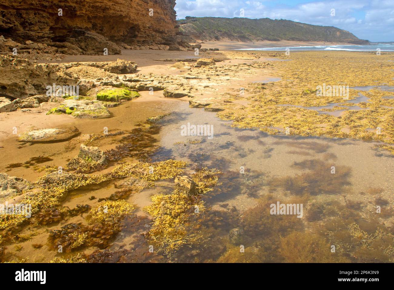 Cliffs and rock pools at Bells Beach Stock Photo - Alamy