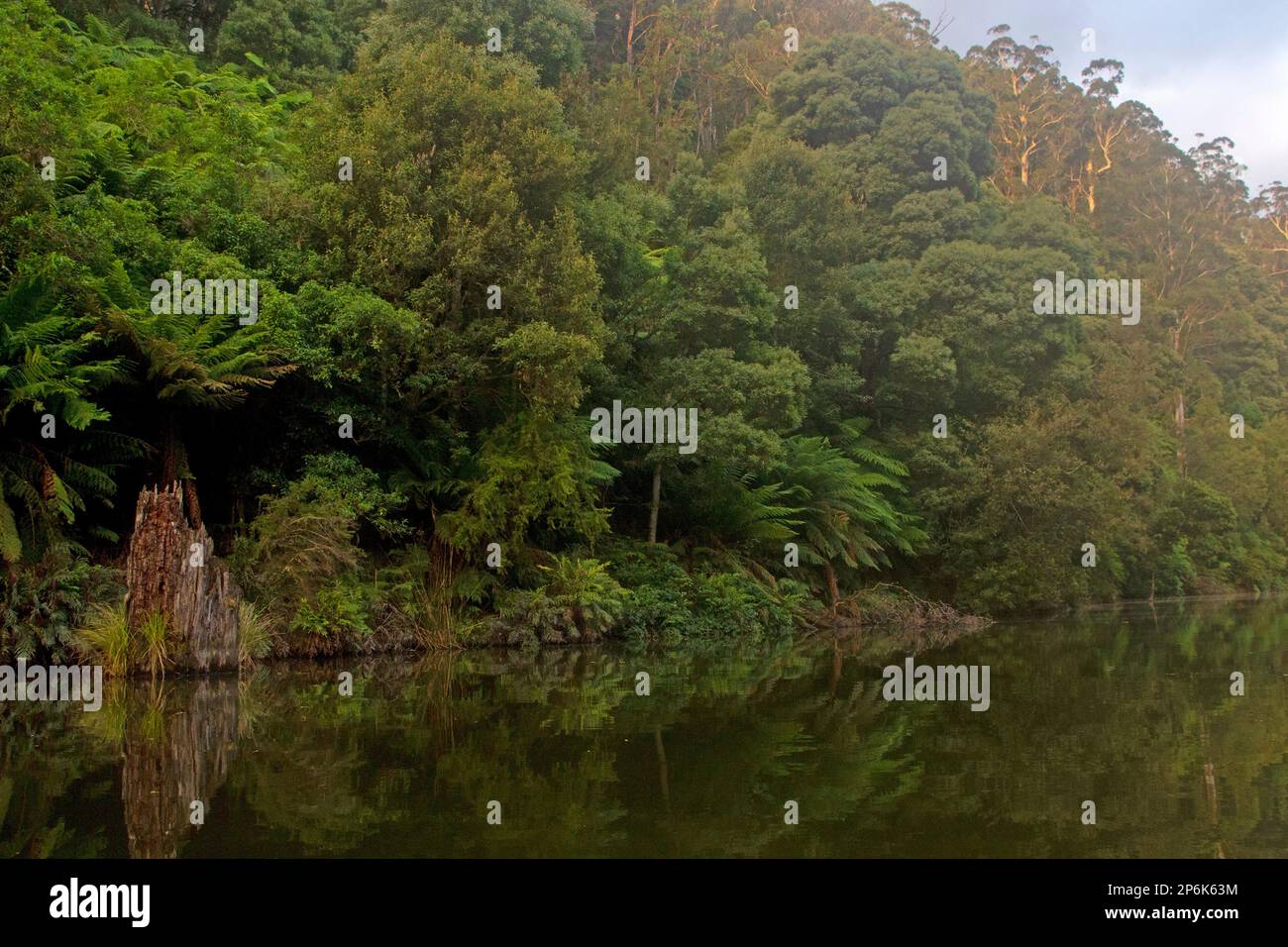 Great otway national park hi-res stock photography and images - Alamy