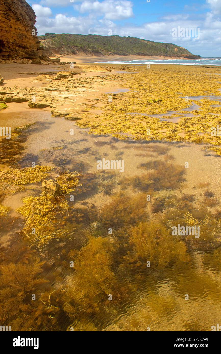Cliffs and rock pools at Bells Beach Stock Photo - Alamy