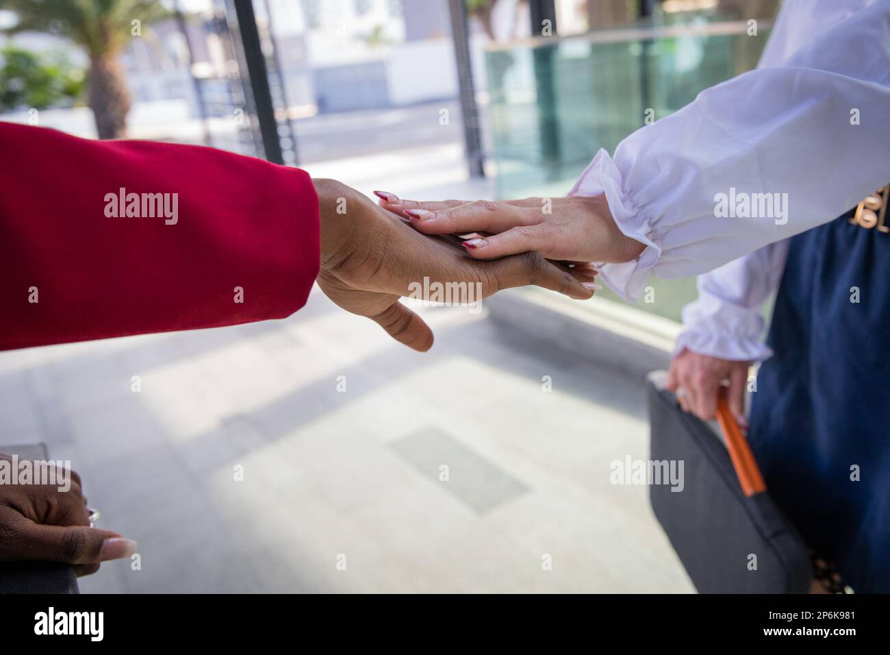 Two female colleagues join hands at work as a sign of understanding and ...