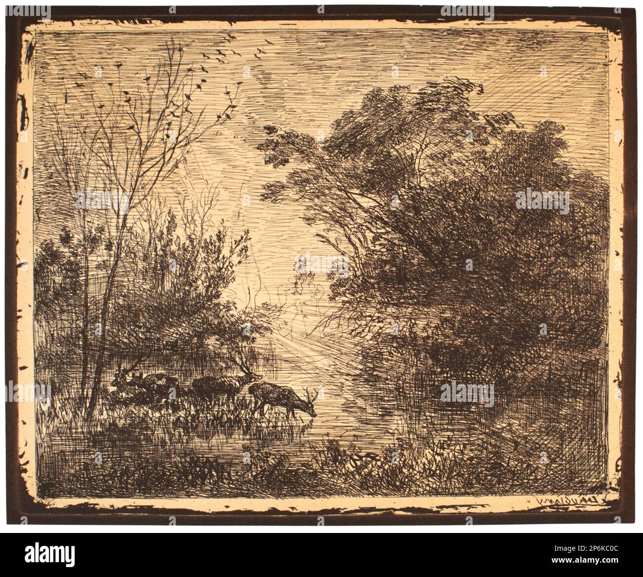 Charles-François Daubigny, Deer (Les Cerfs), 1862, printed 1921, cliché ...