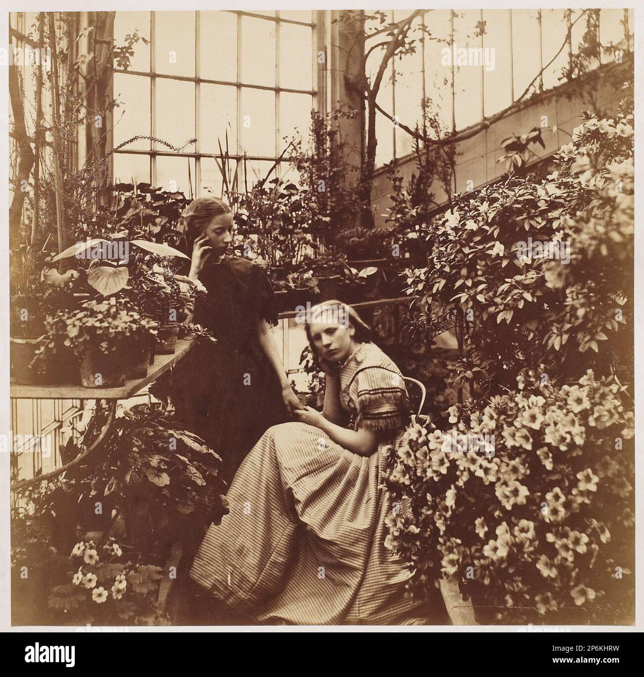 Roger Fenton, Two young women in a conservatory, 1850s, albumen print ...