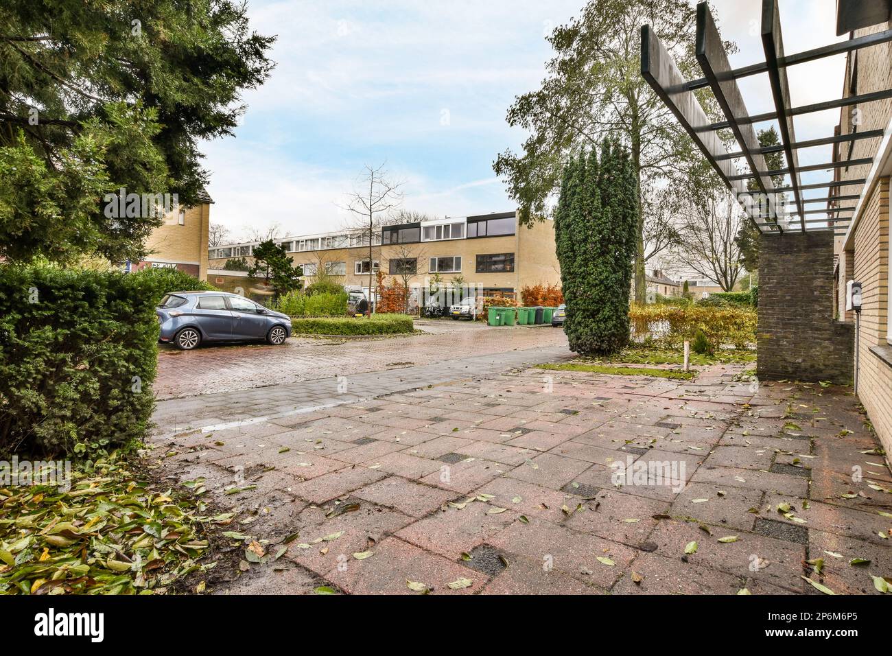 an empty street with cars parked on the side and trees in the middle of ...