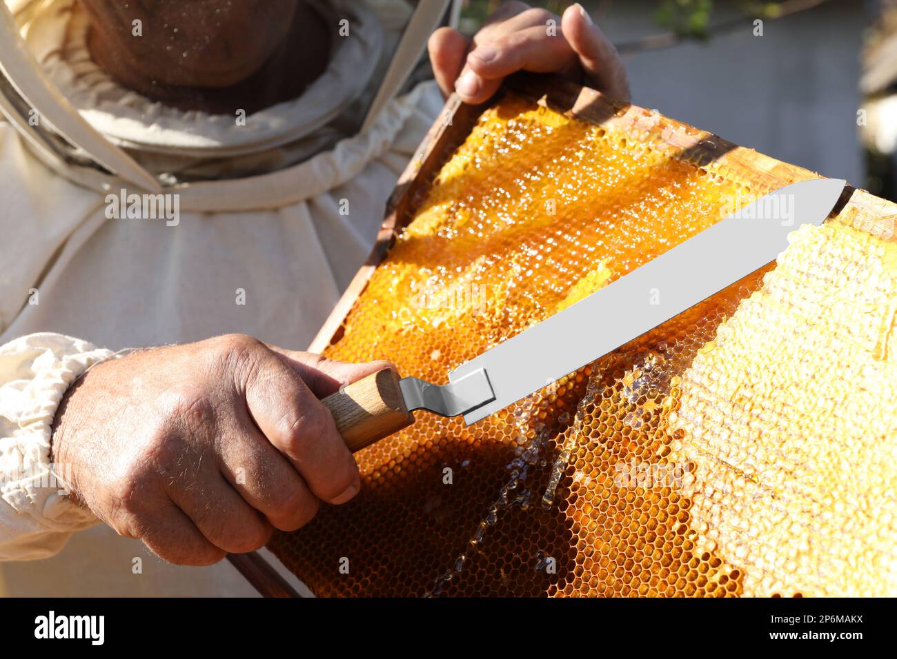 Senior beekeeper uncapping honeycomb frame with knife outdoors, closeup ...