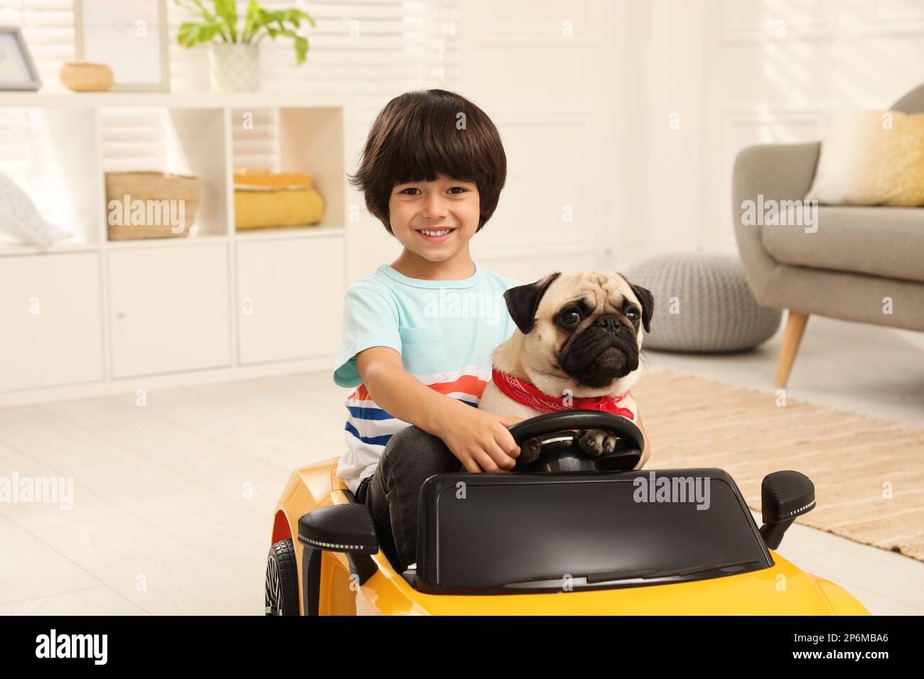 Little boy with his dog in toy car at home Stock Photo - Alamy