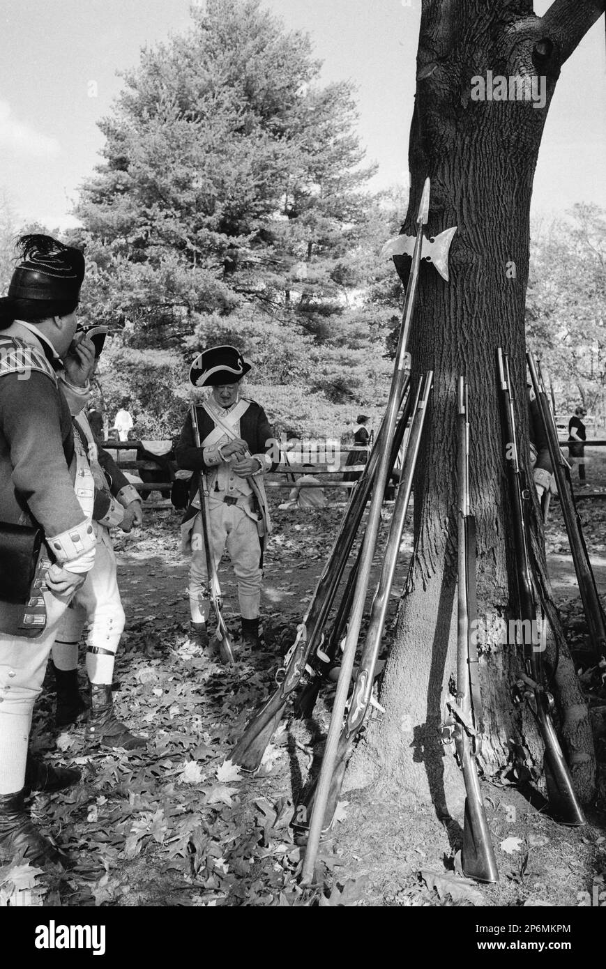 A number of muskets are stacked around a tree with actors in period ...