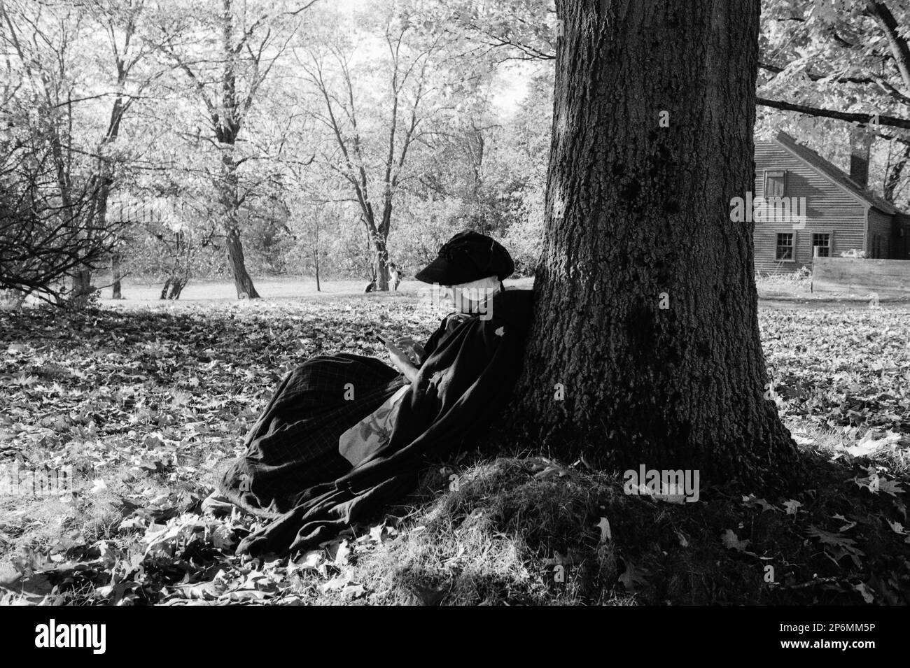 An actor in 18th-Century costume rests under a tree in a leaf pasture ...