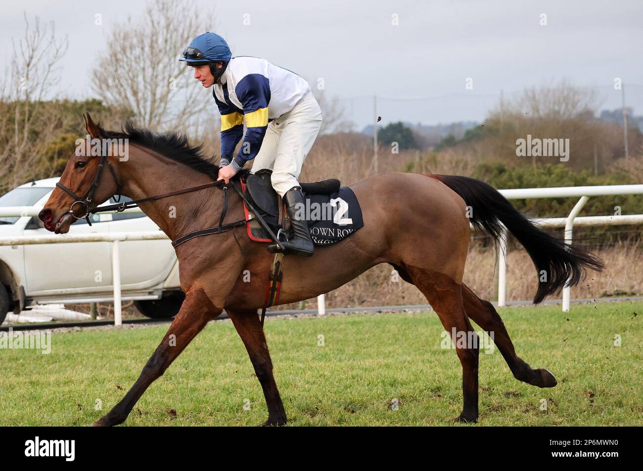 2023 Down Royal Racecourse Lisburn Northern Ireland. 24 January 2023 ...