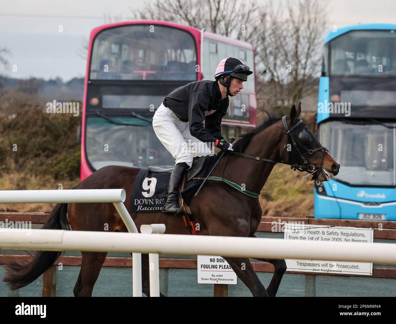 2023 Down Royal Racecourse Lisburn Northern Ireland. 24 January 2023 ...