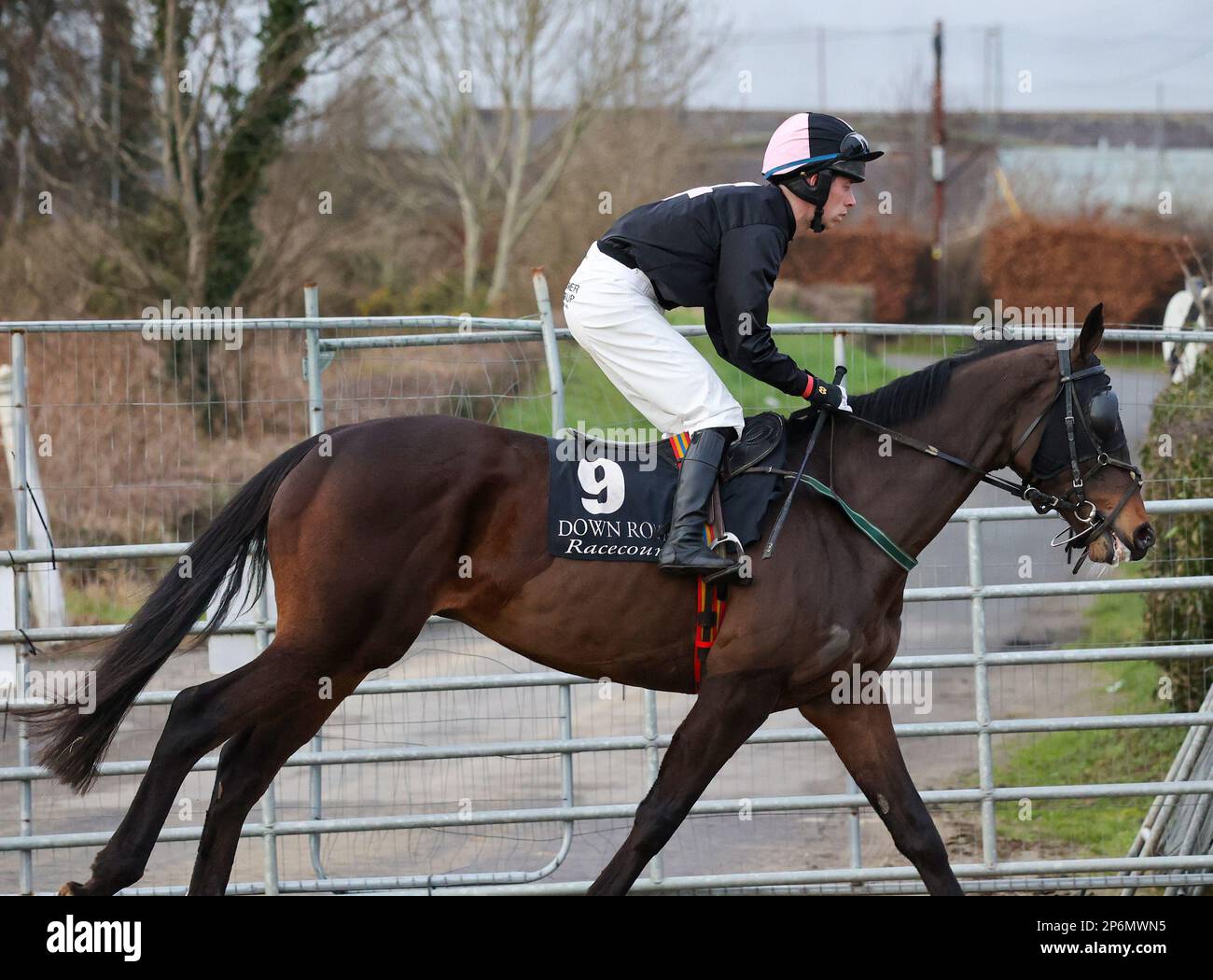 Gearoid brouder hi-res stock photography and images - Alamy